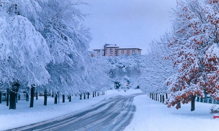 9 bonnes raisons de voyager à Ifrane cet hiver - Welovebuzz